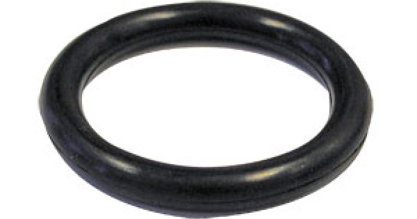 Hygienic Fitting CIP Seal EPDM 76mm