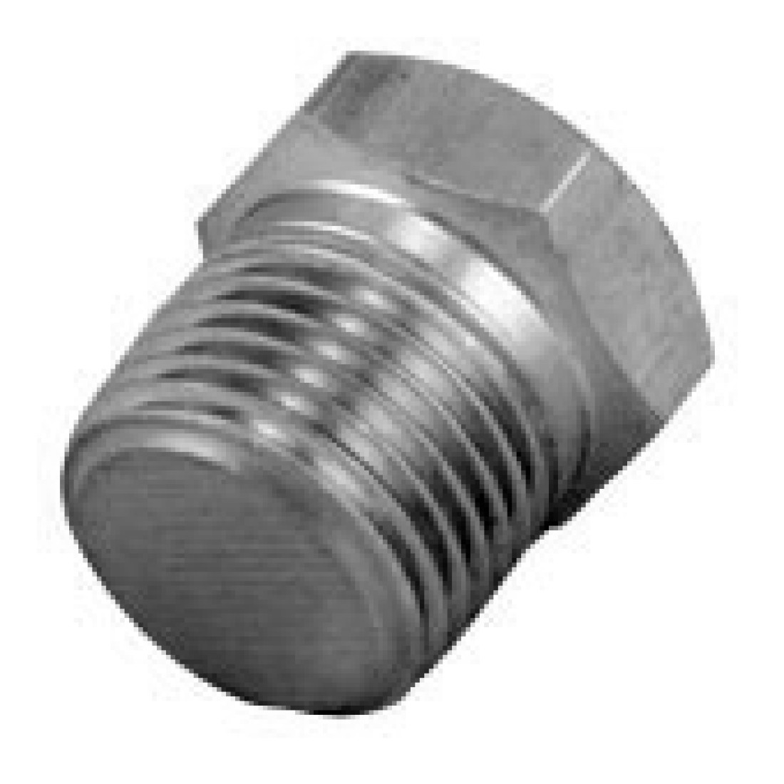 NPT Plug/Hex 25Nb, Grade 304, 3/6000LB
